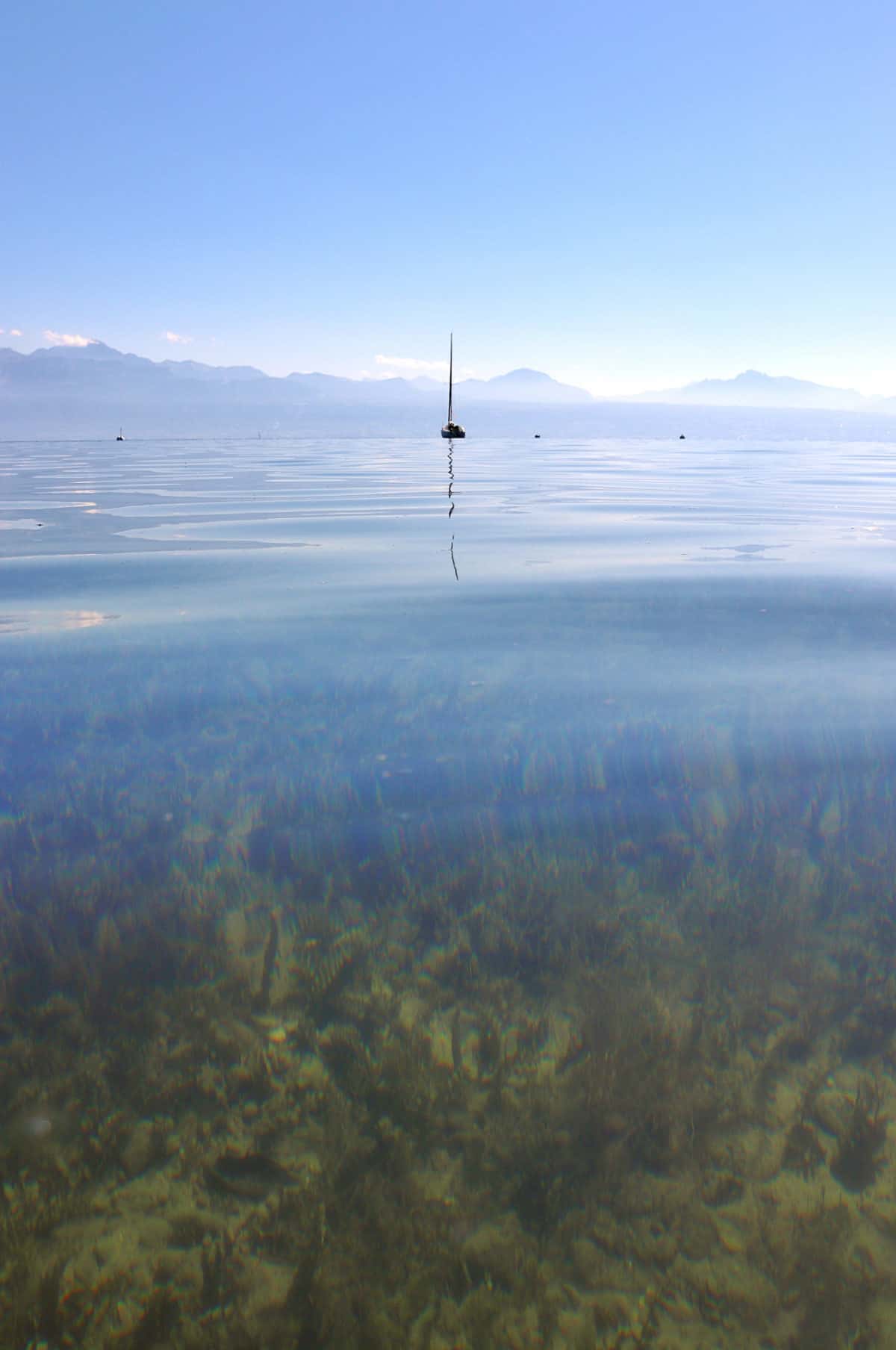 June 2021: a fine rise in Lake Geneva water temperatures - Cipel