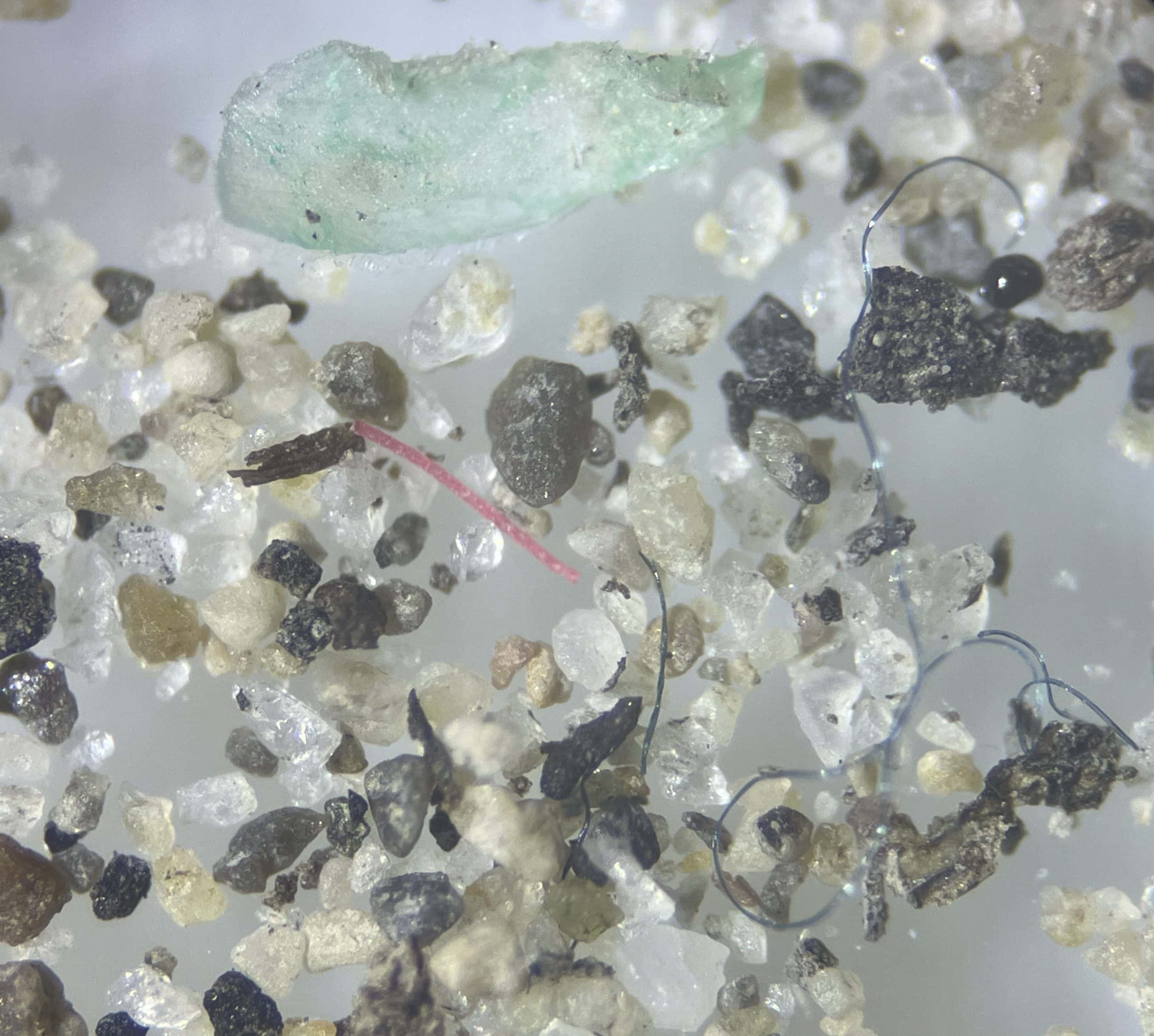 Plastic pollution: the PLA'STOCK study highlights the quantity of ...