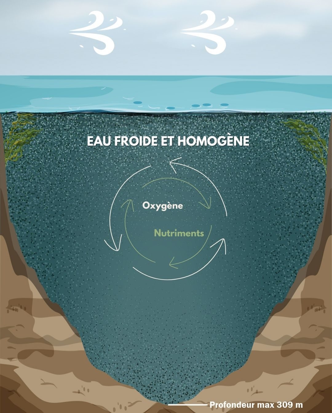 The stirring of the waters of Lake Geneva explained - Cipel