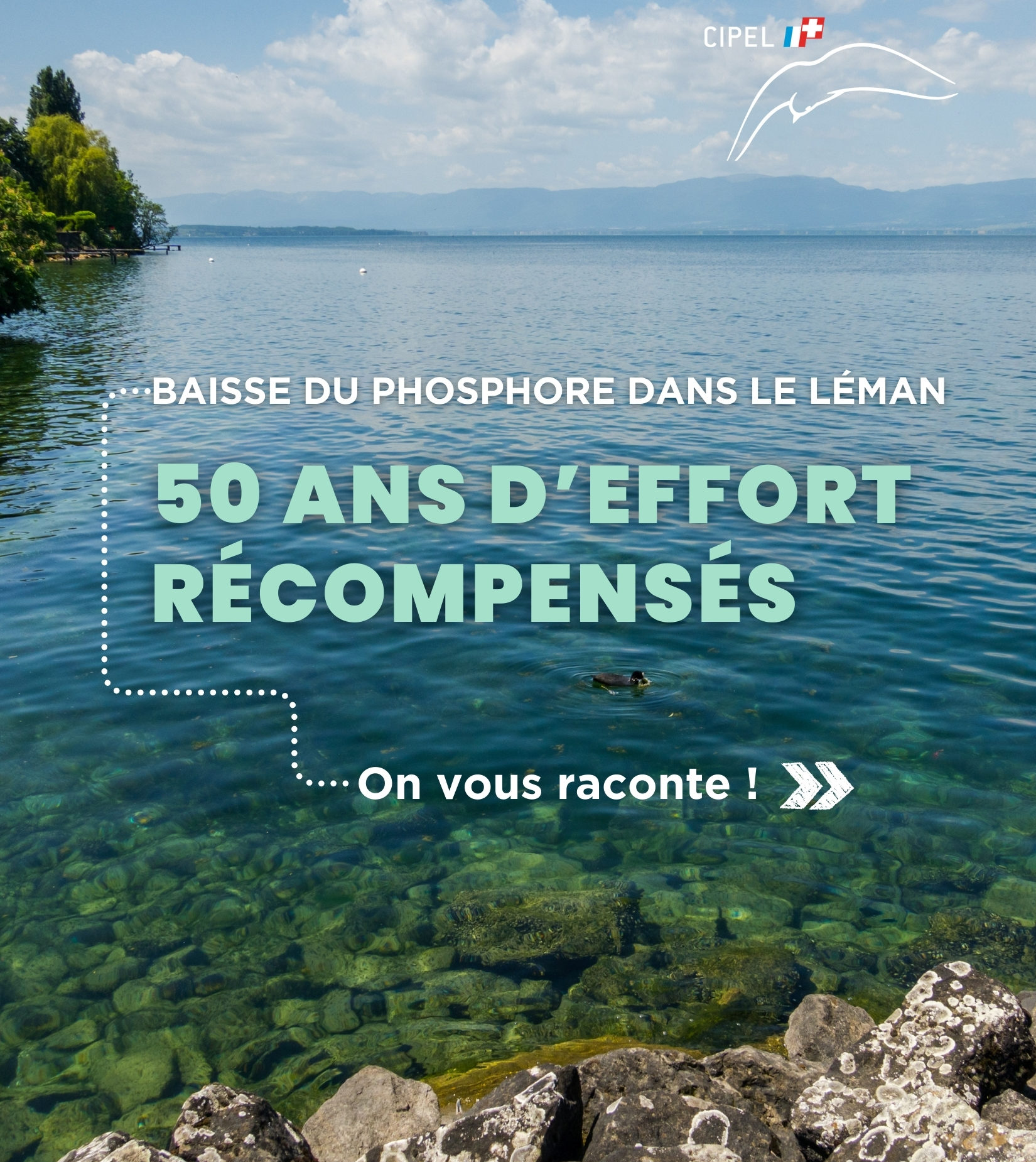 Decrease in phosphorus in Lake Geneva: 50 years of effort rewarded - Cipel